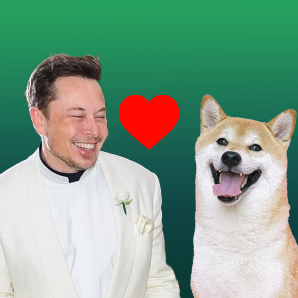 Shiba Inu: fenômeno de Elon Musk ou novo scam? Veja o que diz analista ...