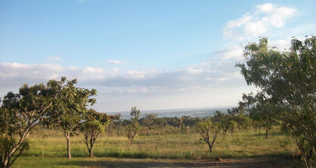 BNDES e Banco Mundial destinam R$ 9,3 milhões para reduzir impactos do ...