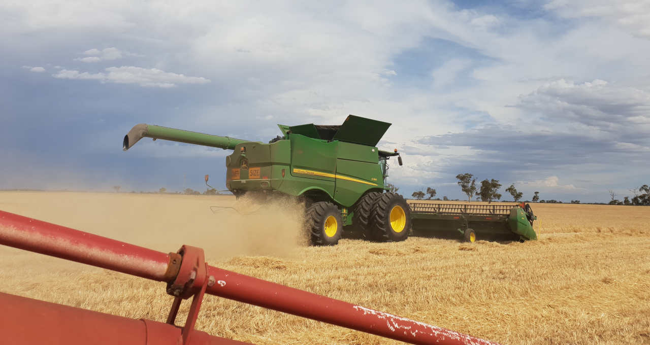 Gestora global compra quase 1 milhão de ações de gigante do agro ...