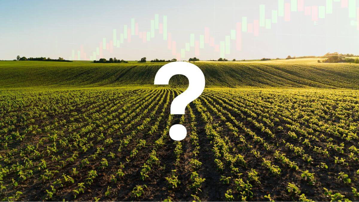 ‘Esta é a melhor ação do agronegócio’, diz analista: papel está ...